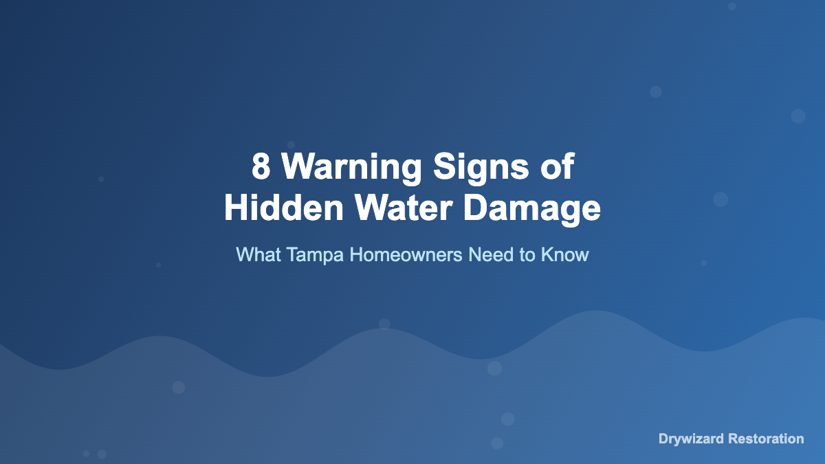 Signs of Hidden Water Damage in Your Tampa Home | Drywizard